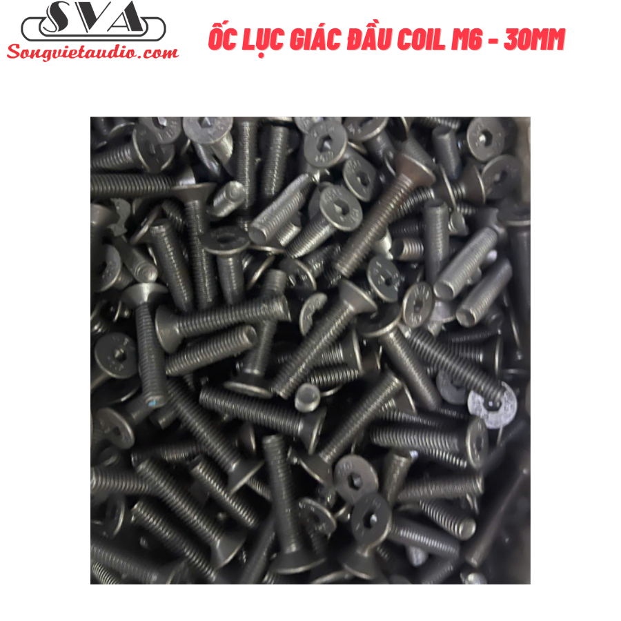 ỐC LỤC GIÁC ĐẦU COIL M6 - 30mm ( 50 con ) | SongVietAudio
